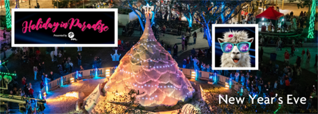 Sandi Tree Will Display the Final Music & Light Shows New Year's Eve ...