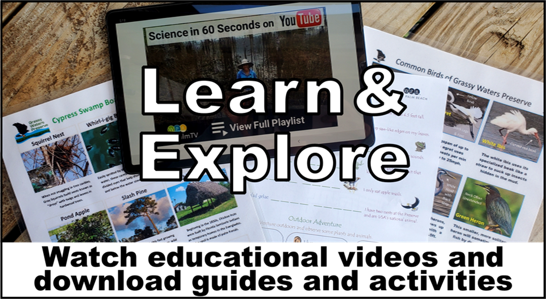 Learn & Explore City of West Palm Beach