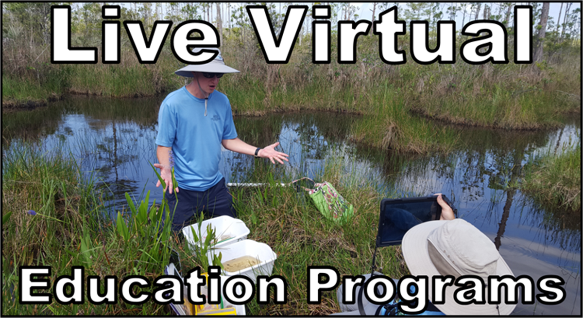 Live Virtual Field Trips City of West Palm Beach