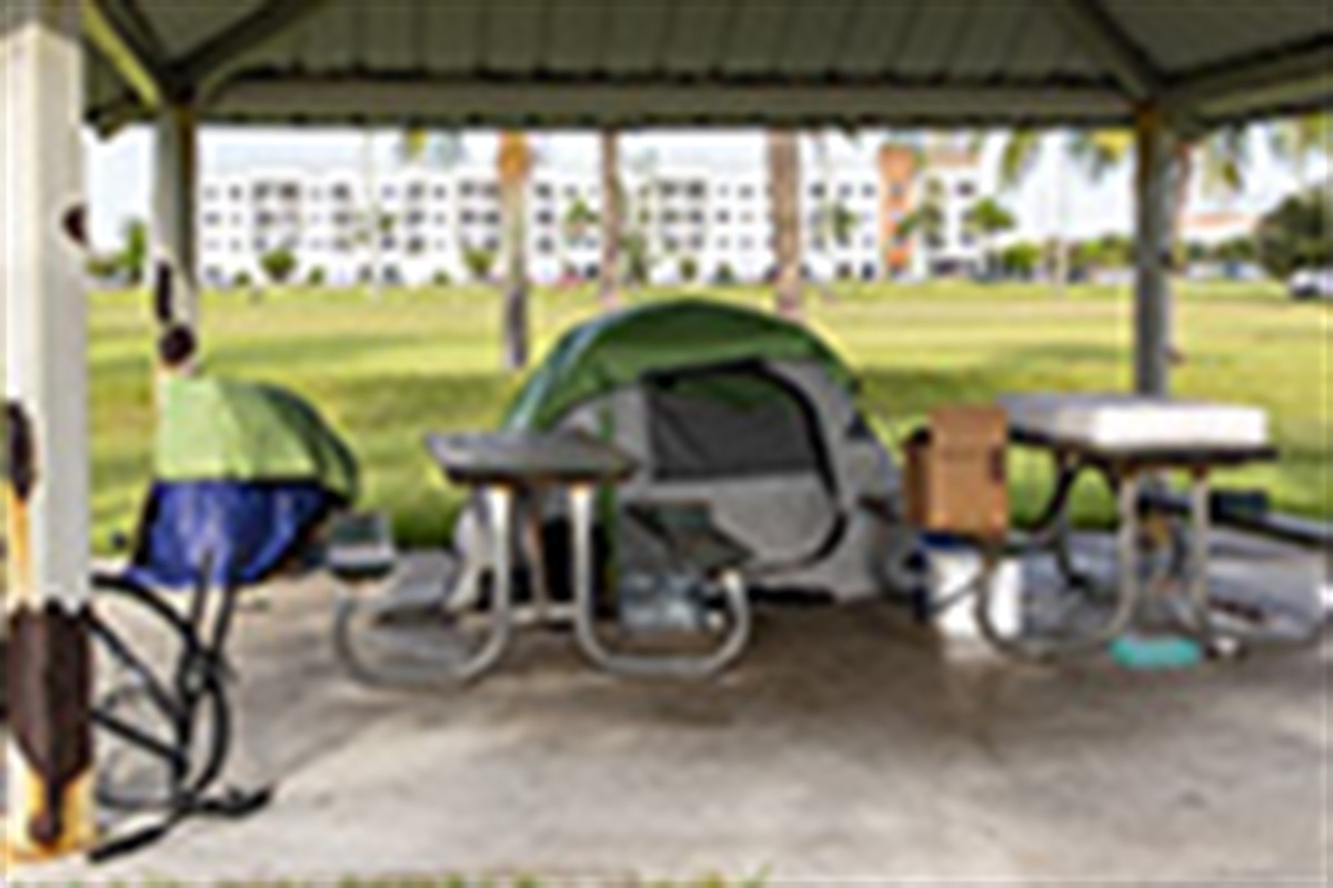 Report City of West Palm Beach Homeless Activity City of West Palm Beach